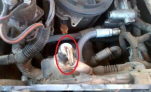 Code P0470 6.0 Powerstroke: Causes, Symptoms & Fixes ⚠️